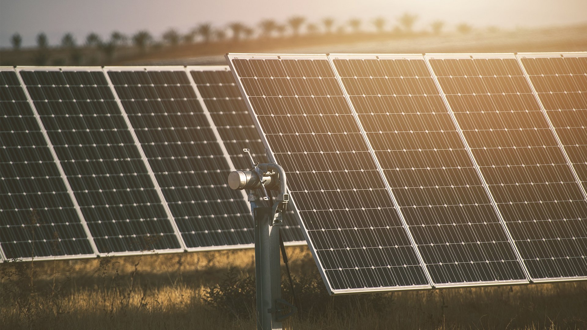 Managing Climate Solutions