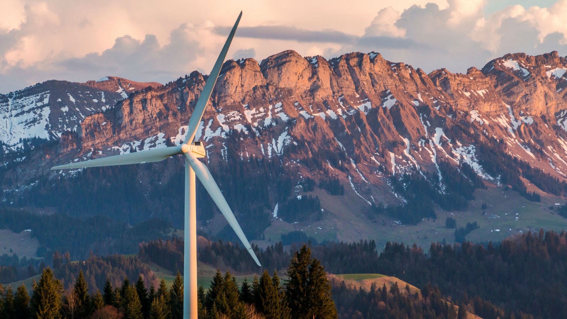 8th Consumer Barometer of Renewable Energy