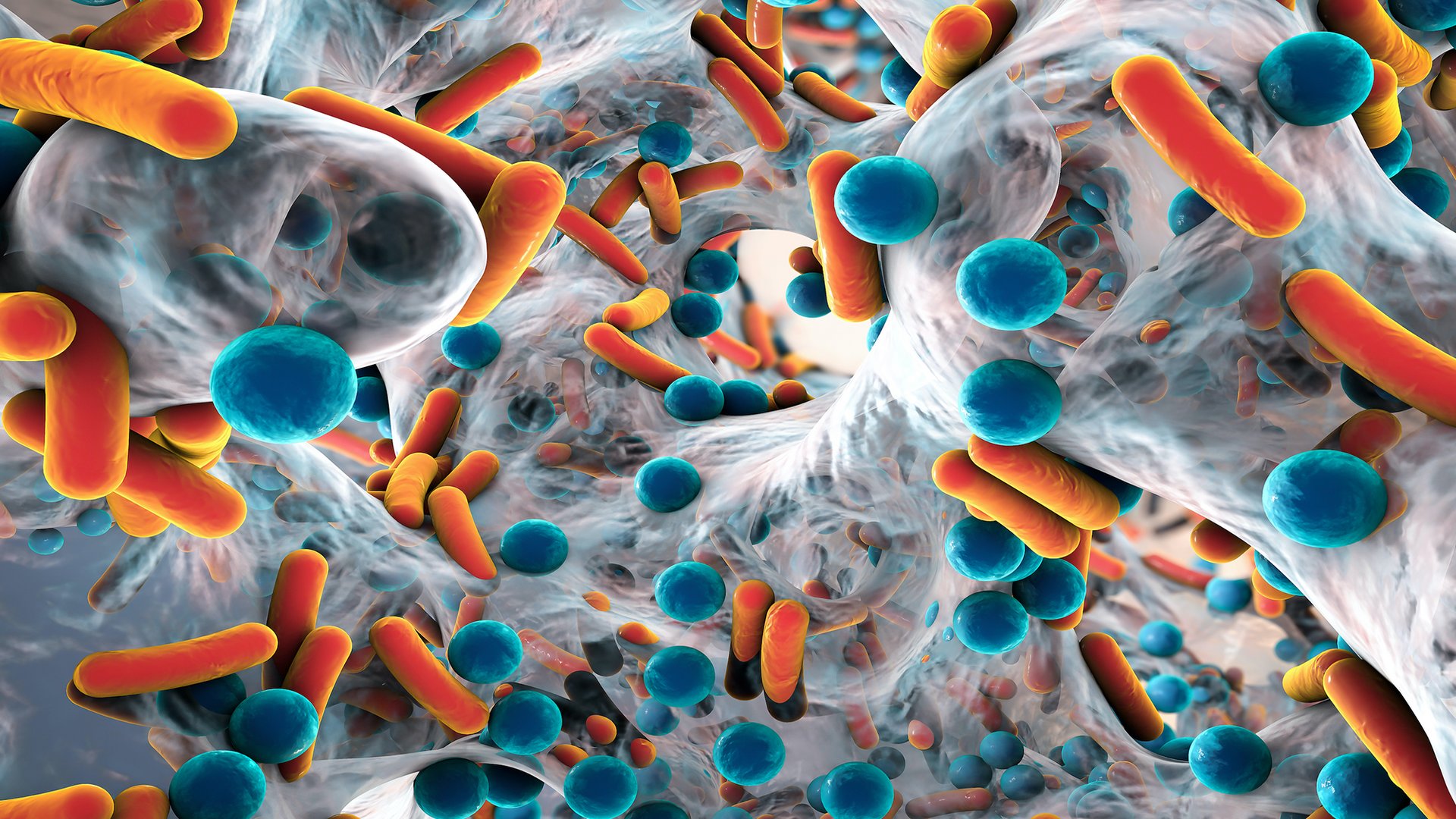How gut bacteria influence our decisions