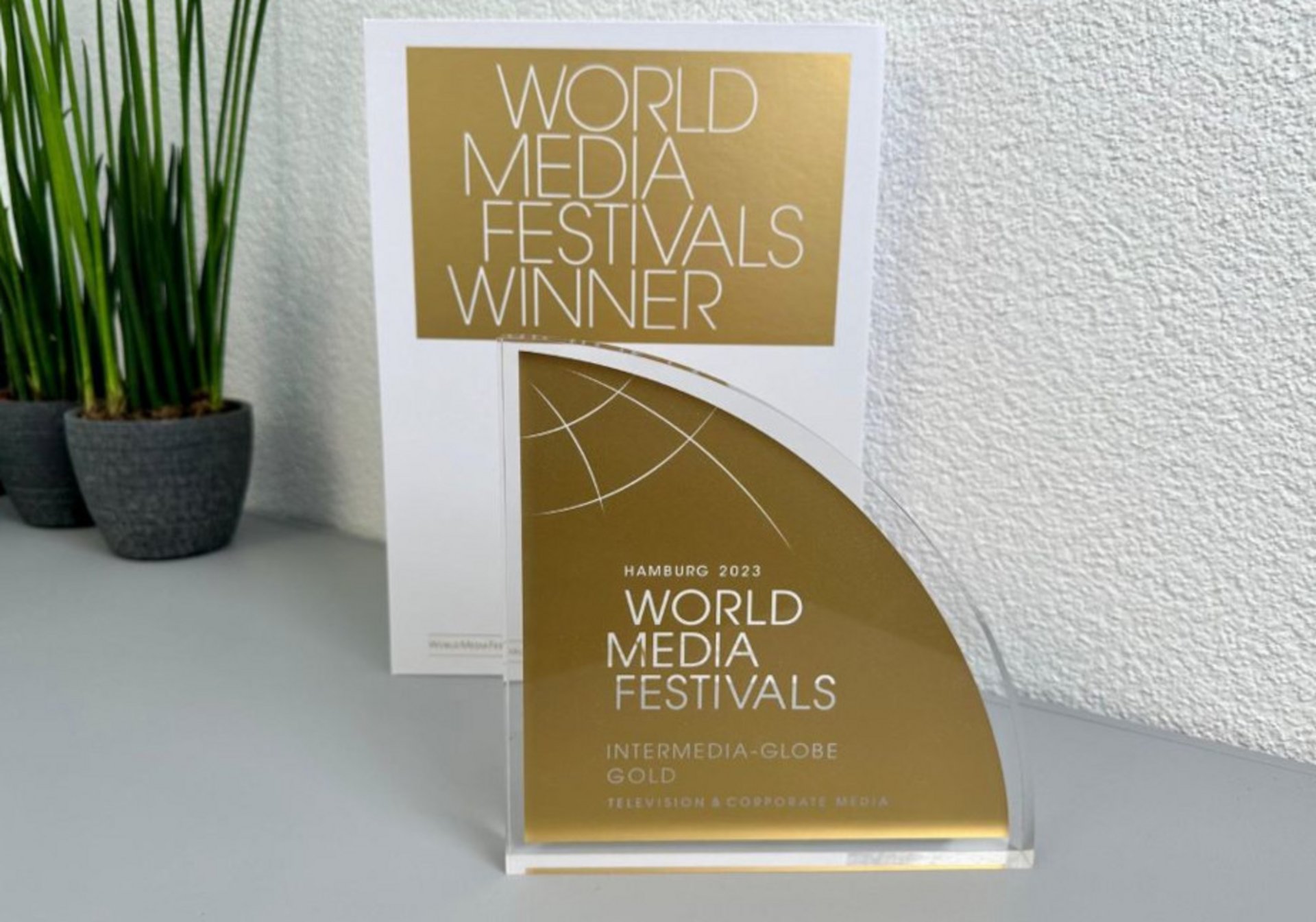 NEWS: HSG-Kurzfilm «Healthification» mit Gold ausgezeichnet | unisg.ch